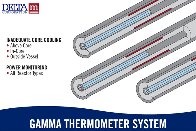 Delta M Corp. | Gamma Thermometer - Delta M Corp.